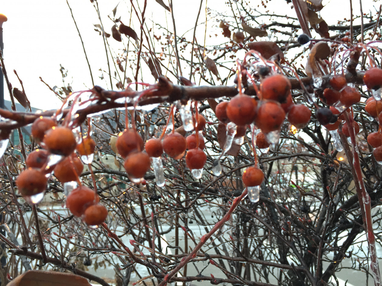 Even Deep in Winter | Stuart Stotts